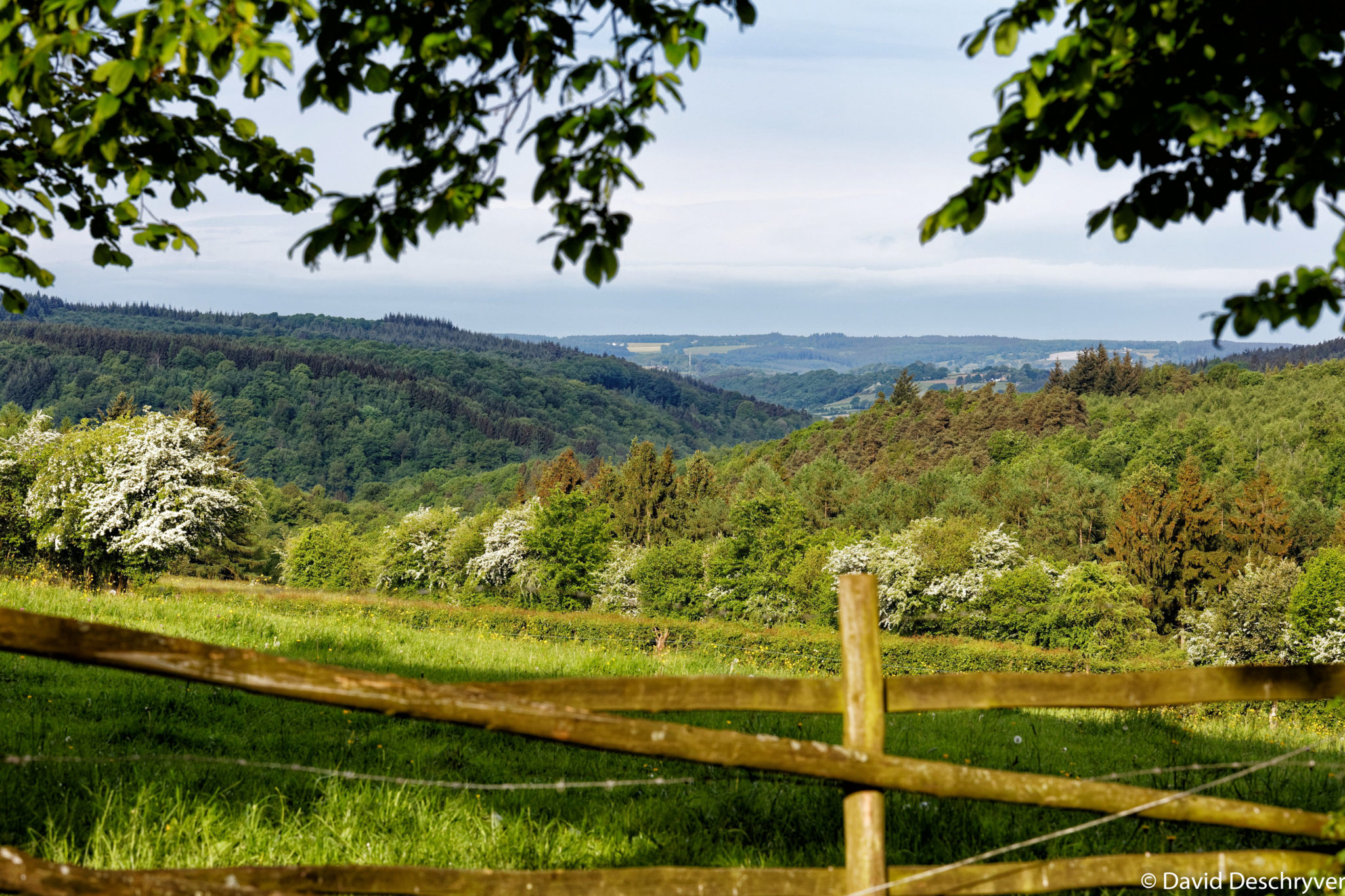 Ecolo Jalhay | Le site de la section locale d'Ecolo